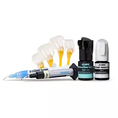 Kuraray Panavia Veneer LC Cement Introductory Kit, 0.5mL paste + bond ...